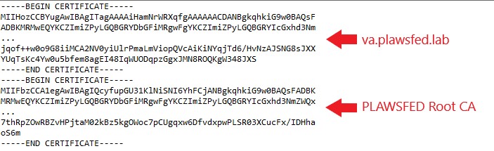 VA: How to create and verify SSL certificates